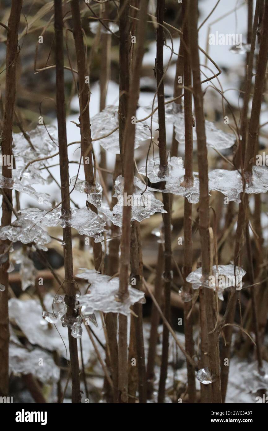 Pieces of Ice from defrost Water Stock Photo - Alamy