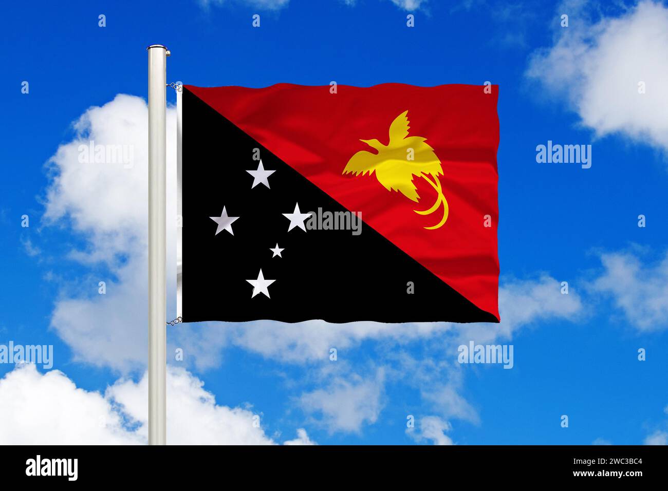 National flag, the flag of Papua New Guinea, country in Oceania ...