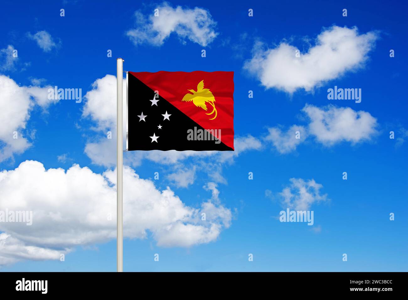 National flag, the flag of Papua New Guinea, country in Oceania ...