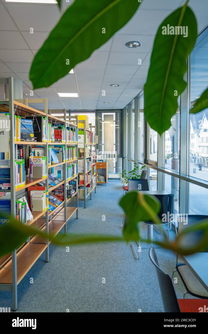 Daylight view hi-res stock photography and images - Alamy