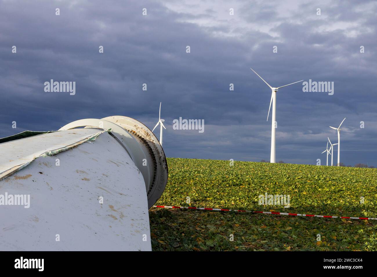 Wind blow damage hi-res stock photography and images - Alamy