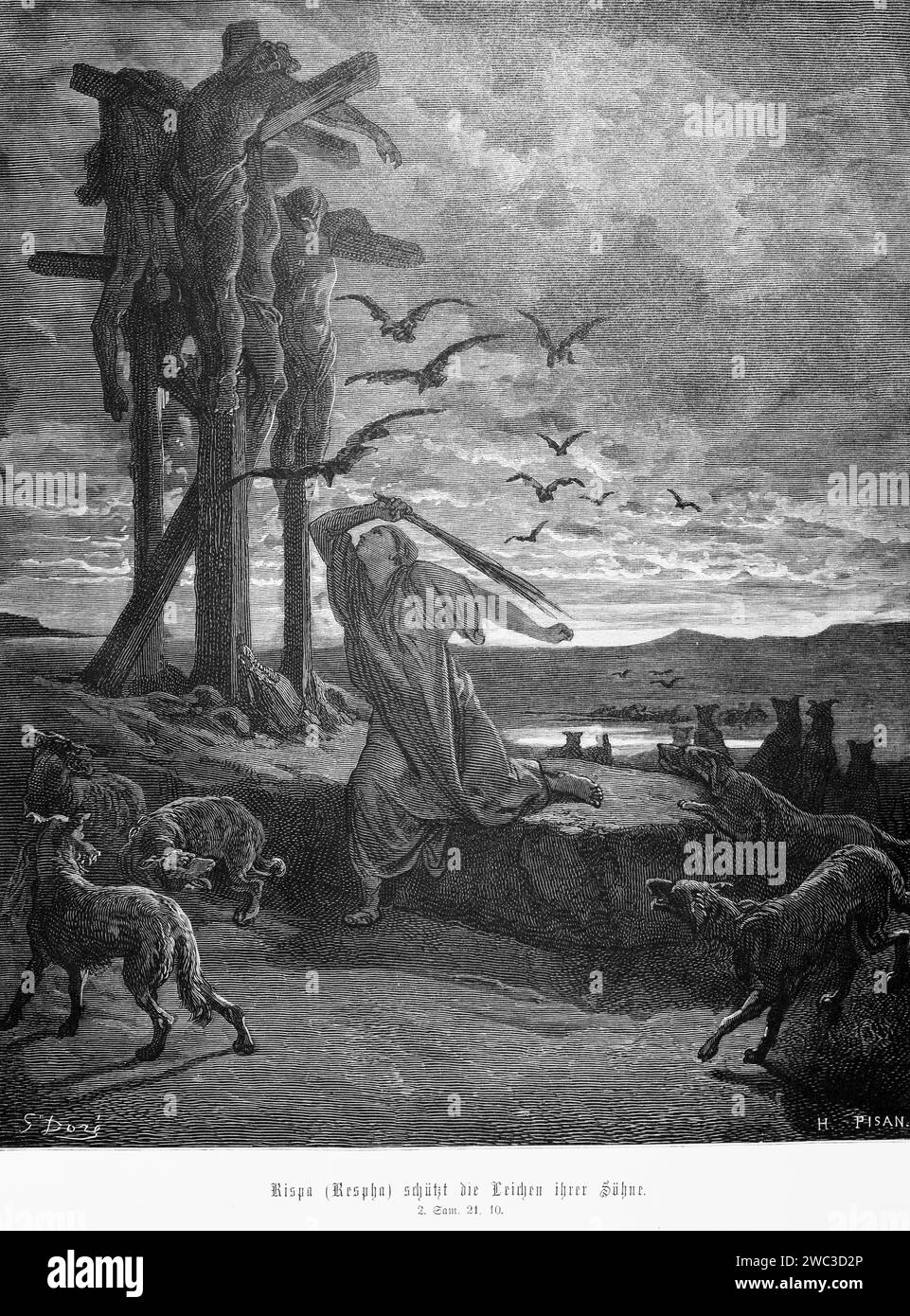 Rispa or Repha protects the bodies of her sons, 2nd Book of Samuel ...