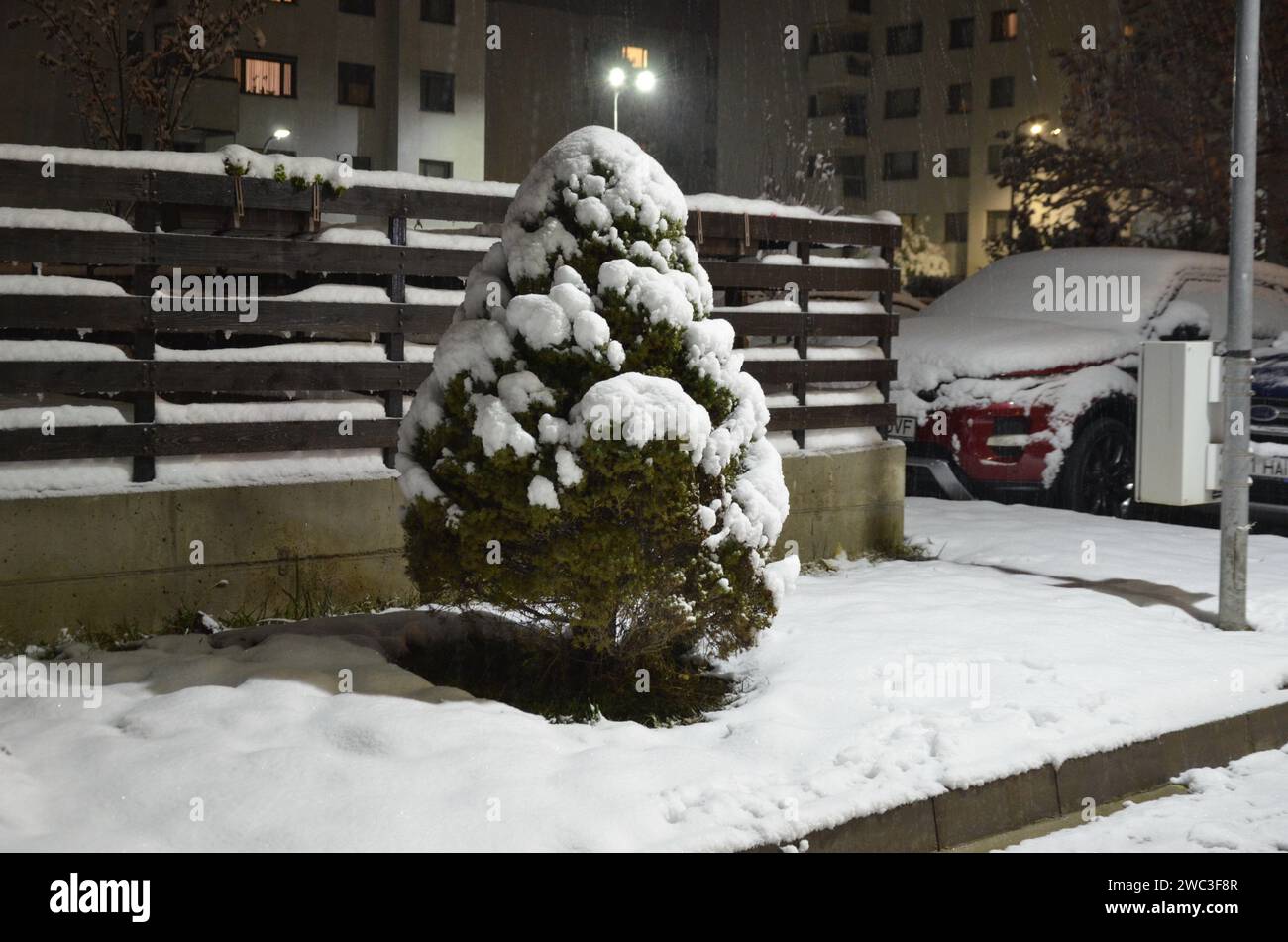 the first snow a week before Christmas is a joy to behold Stock Photo ...