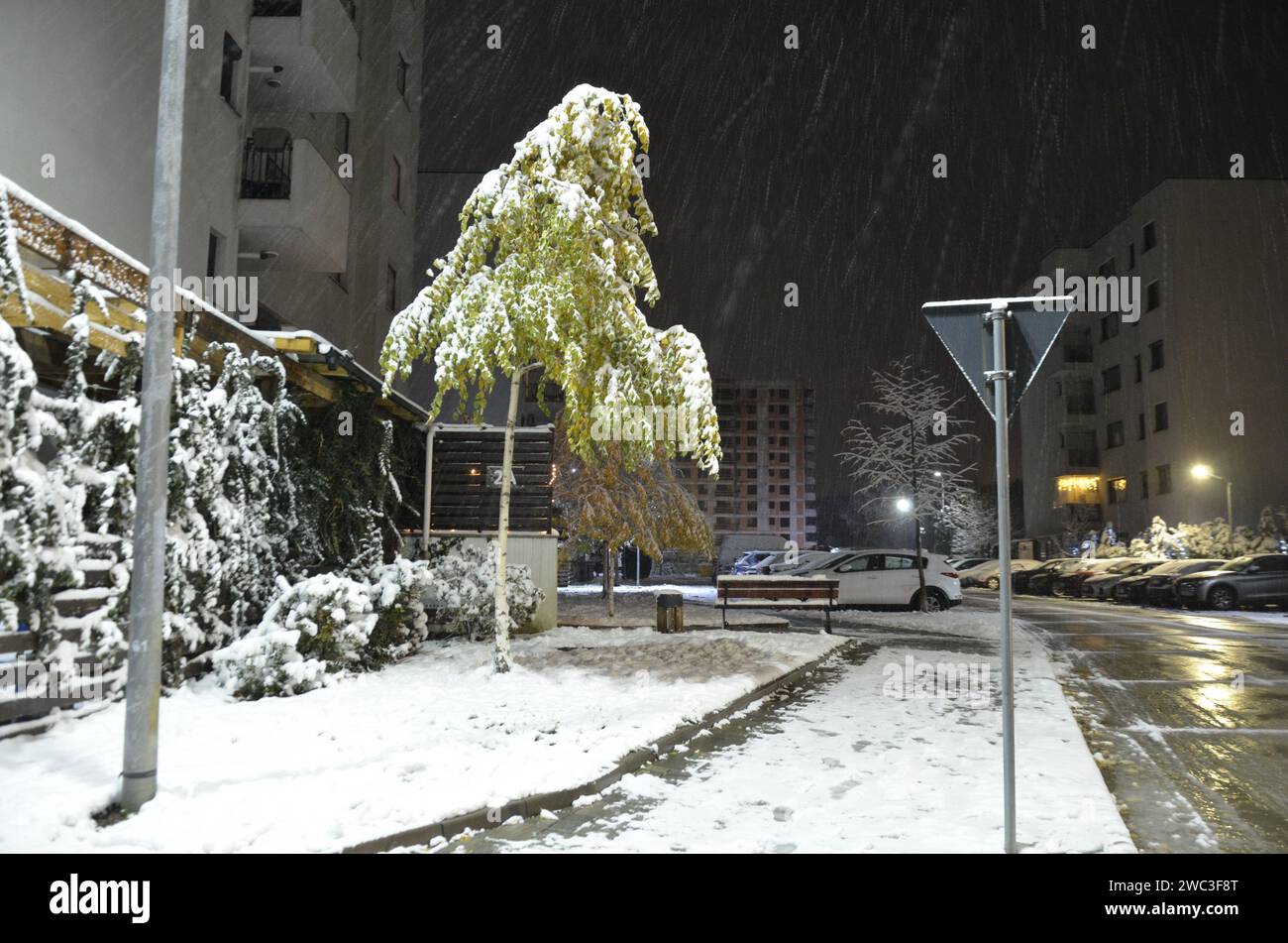 The first snow a week before Christmas is a joy to behold Stock Photo ...