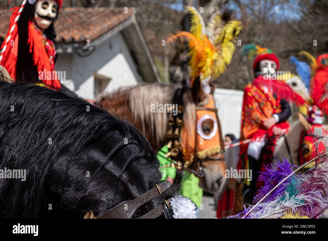 traditional carnival masks from Salzeda de Caselas, Ranchos and ...