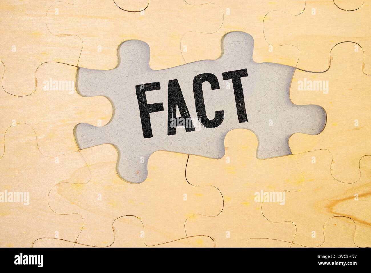 Facts word on card index paper Stock Photo - Alamy