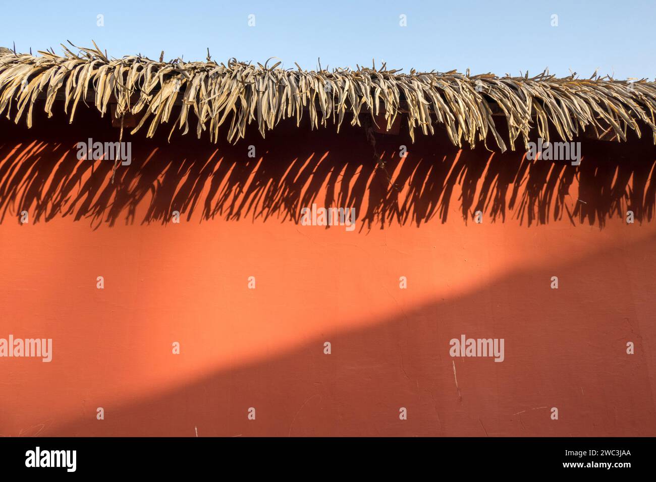 West Africa, Senegal, Saint Louis. The fringe of the reed roof. The ...
