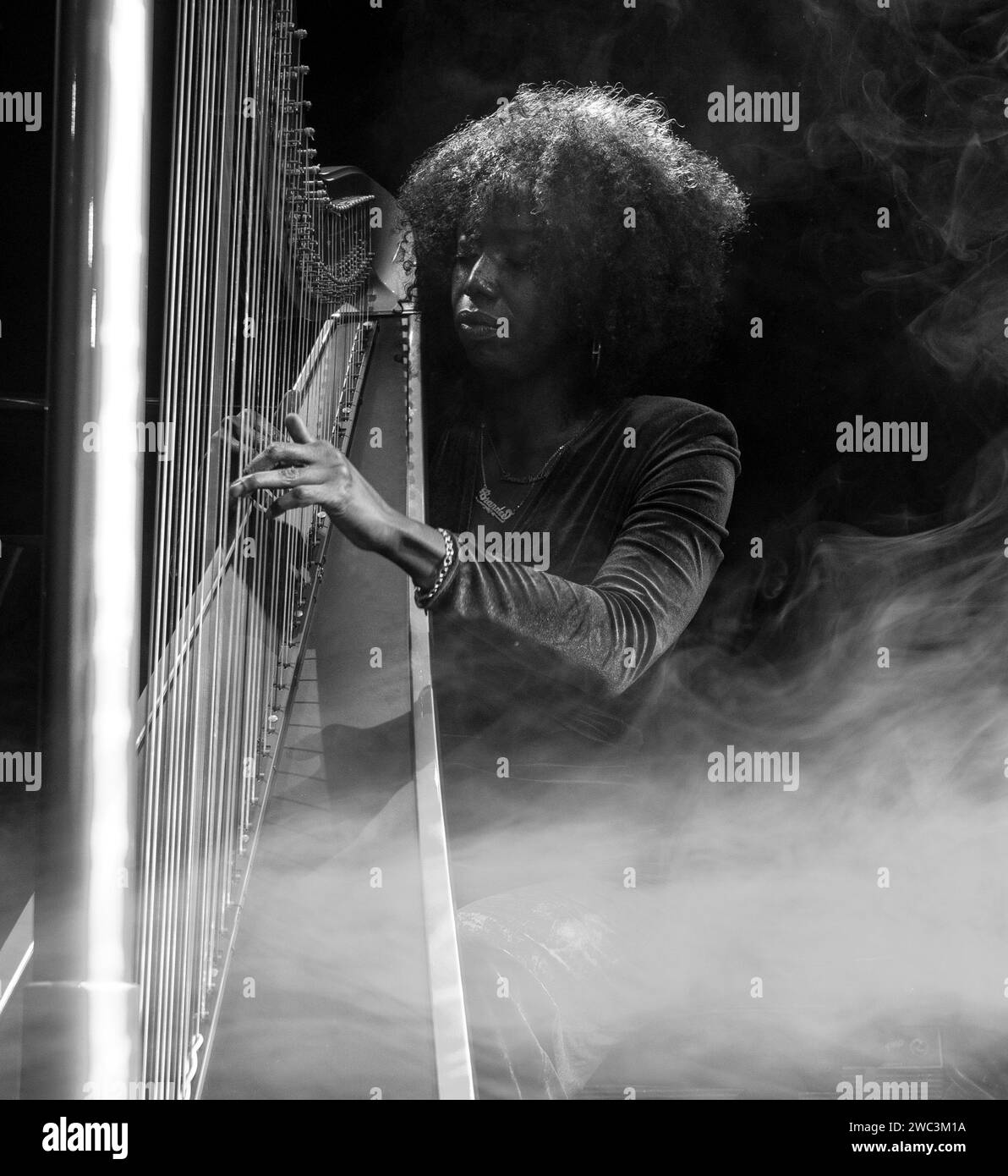 New York New York Usa 12th Jan 2024 Brandee Younger Performs With Her Trio At Le Poisson