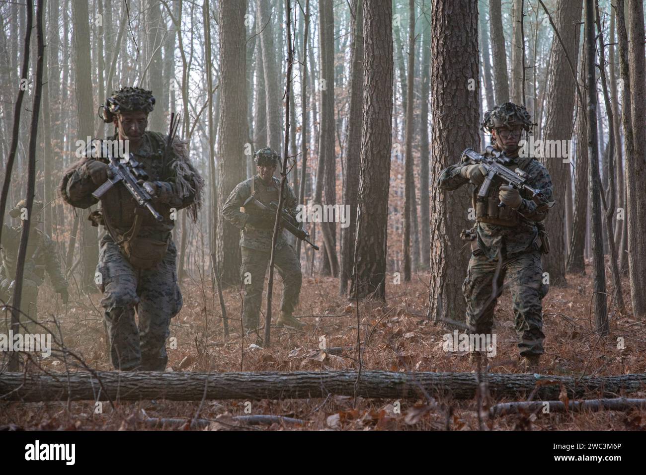 U.S. Marines with Charlie Company, Battalion Landing Team 1/8, 24th ...