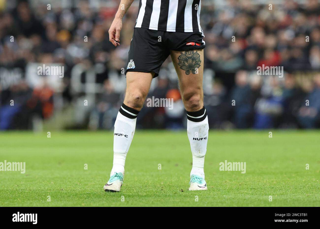Newcastle Upon Tyne, UK. 13th Jan, 2024. Dan Burn of Newcastle United ...