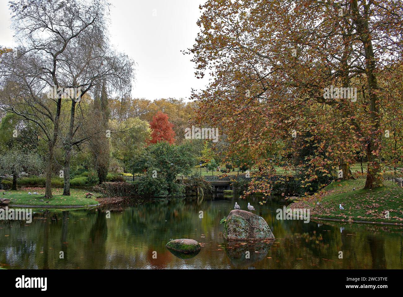 Autumn fills the Castrelos park in Vigo with reddish, ocher and yellow ...
