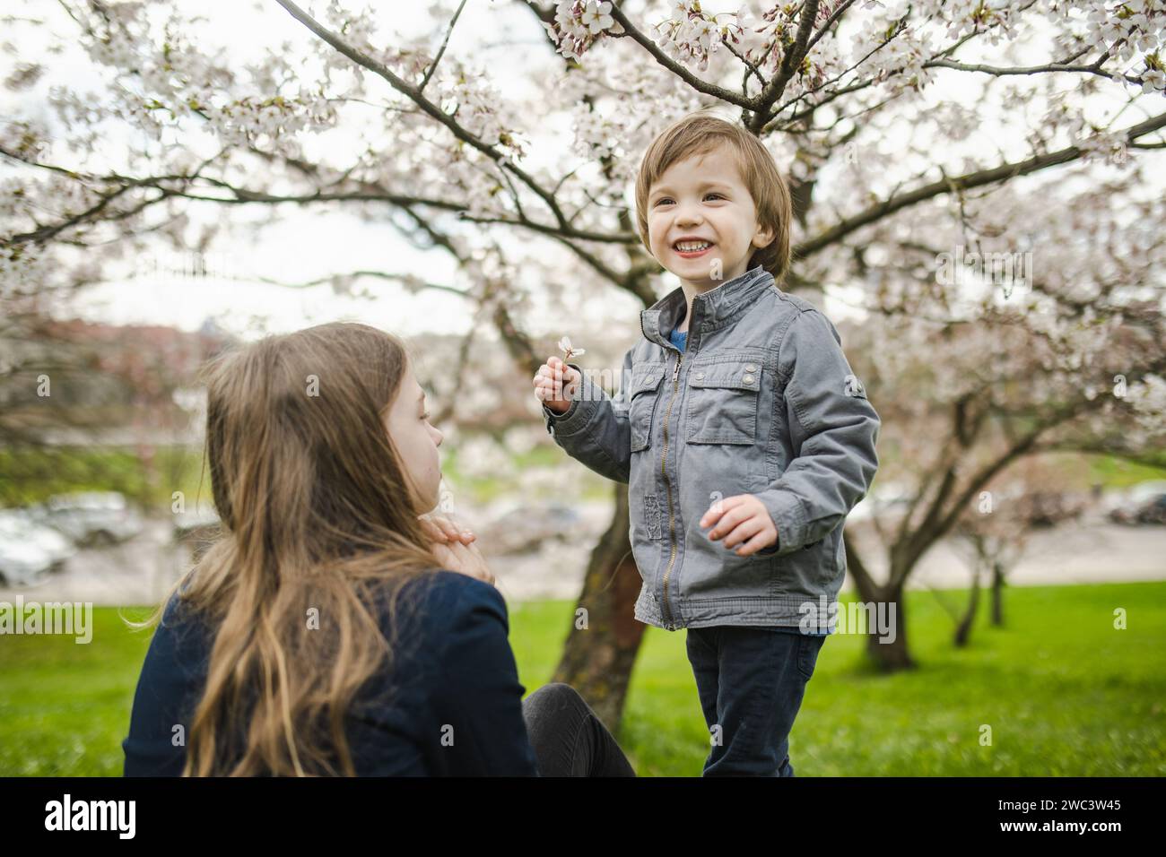 Pretty teenage girl and her toddler brother having fun in blooming ...