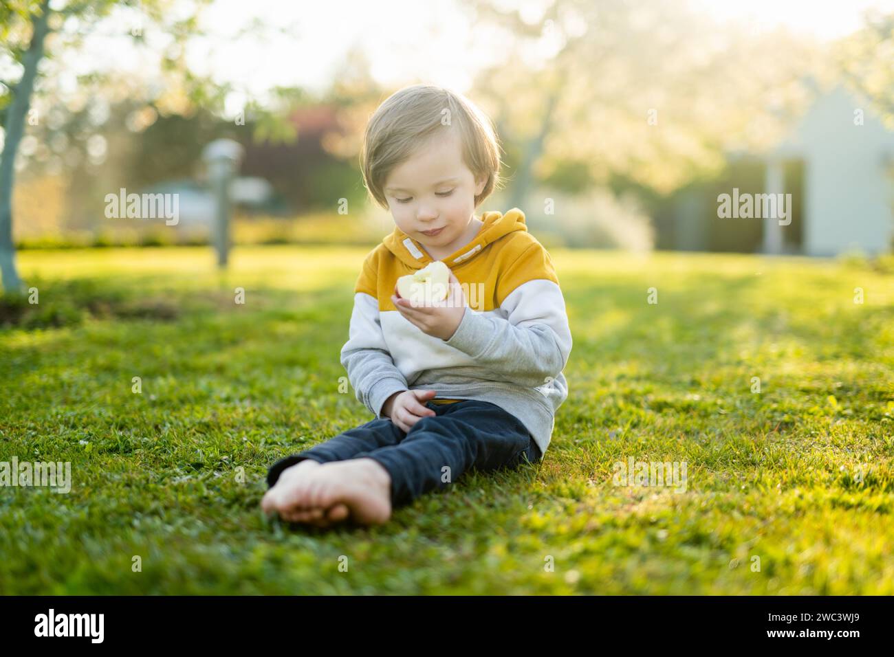 Cute toddler boy playing outdoors on sunny spring day. Child exploring ...