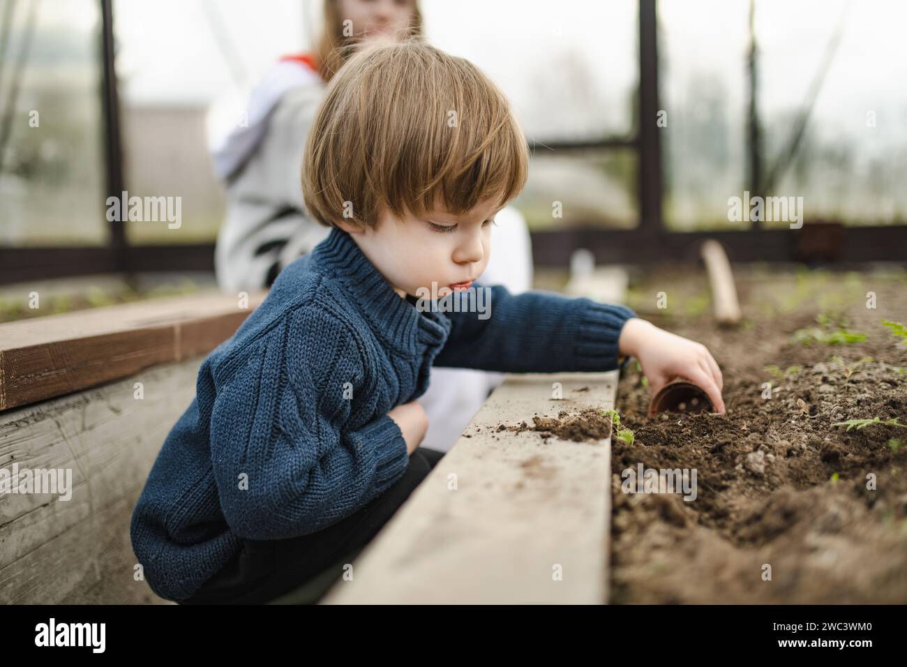 Cute toddler boy playing with soil on spring day. Kid planting a ...