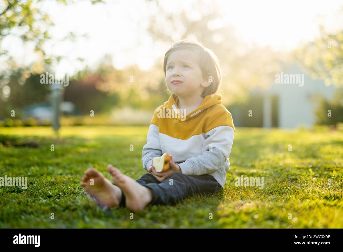 Cute toddler boy playing outdoors on sunny spring day. Child exploring ...
