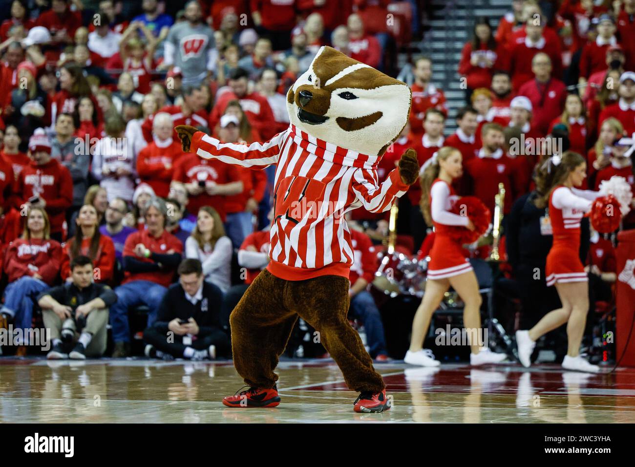 Madison, WI, USA. 13th Jan, 2024. Wisconsin Badgers mascot Bucky Badger ...