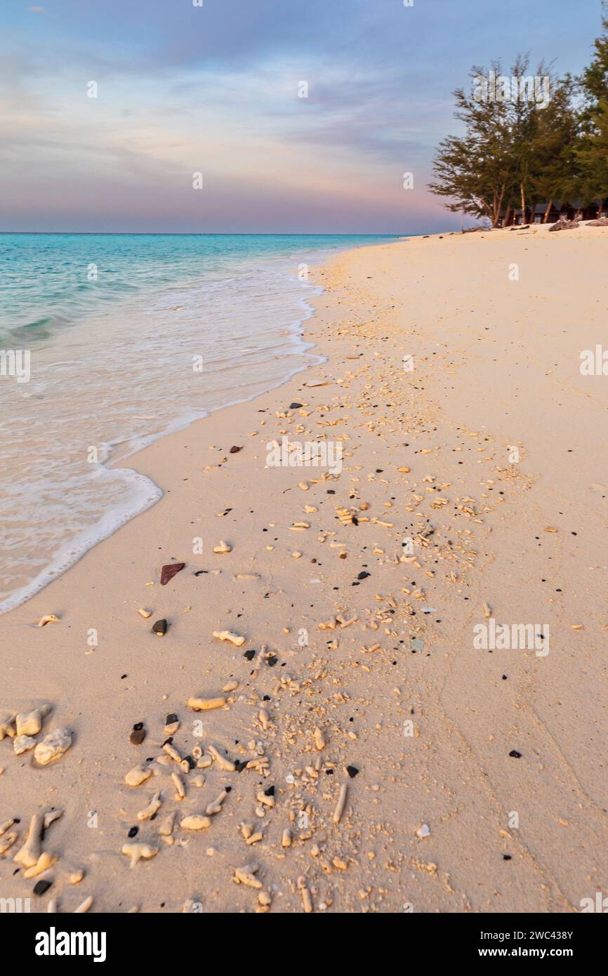 Beautiful remote tropical beach with white sand and sea shells in the ...