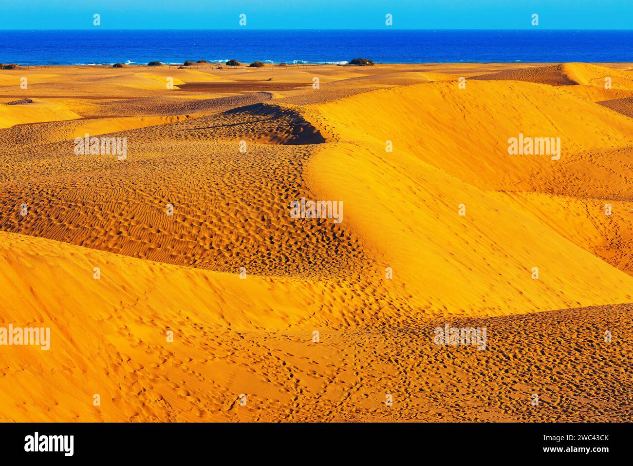 Sand dunes in Maspalomas Gran Canaria , Canary Islands, Spain ...