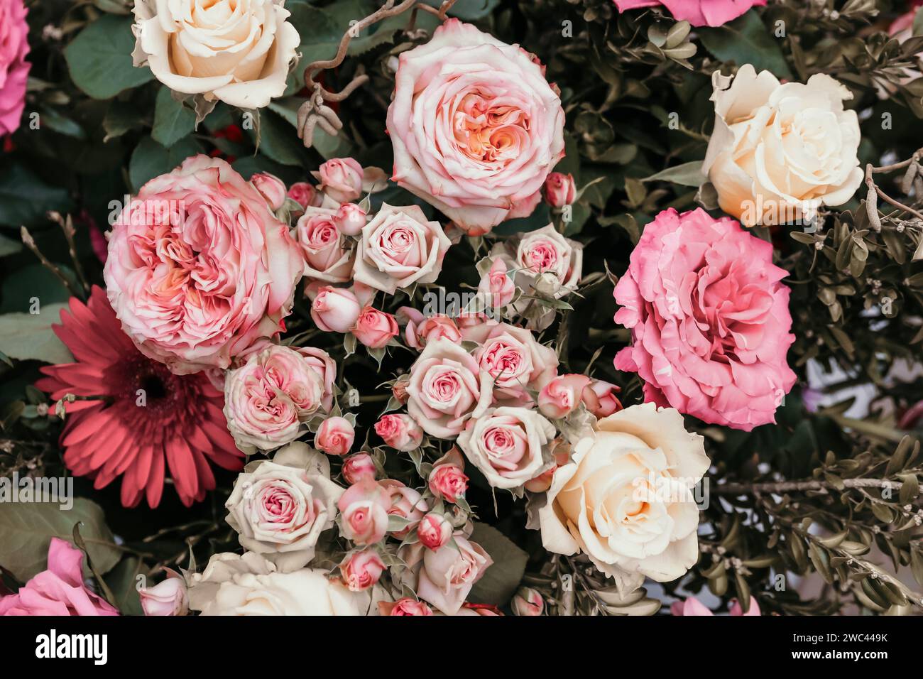 Bouquet of a beautiful rose decoration background Flowers scape Stock ...