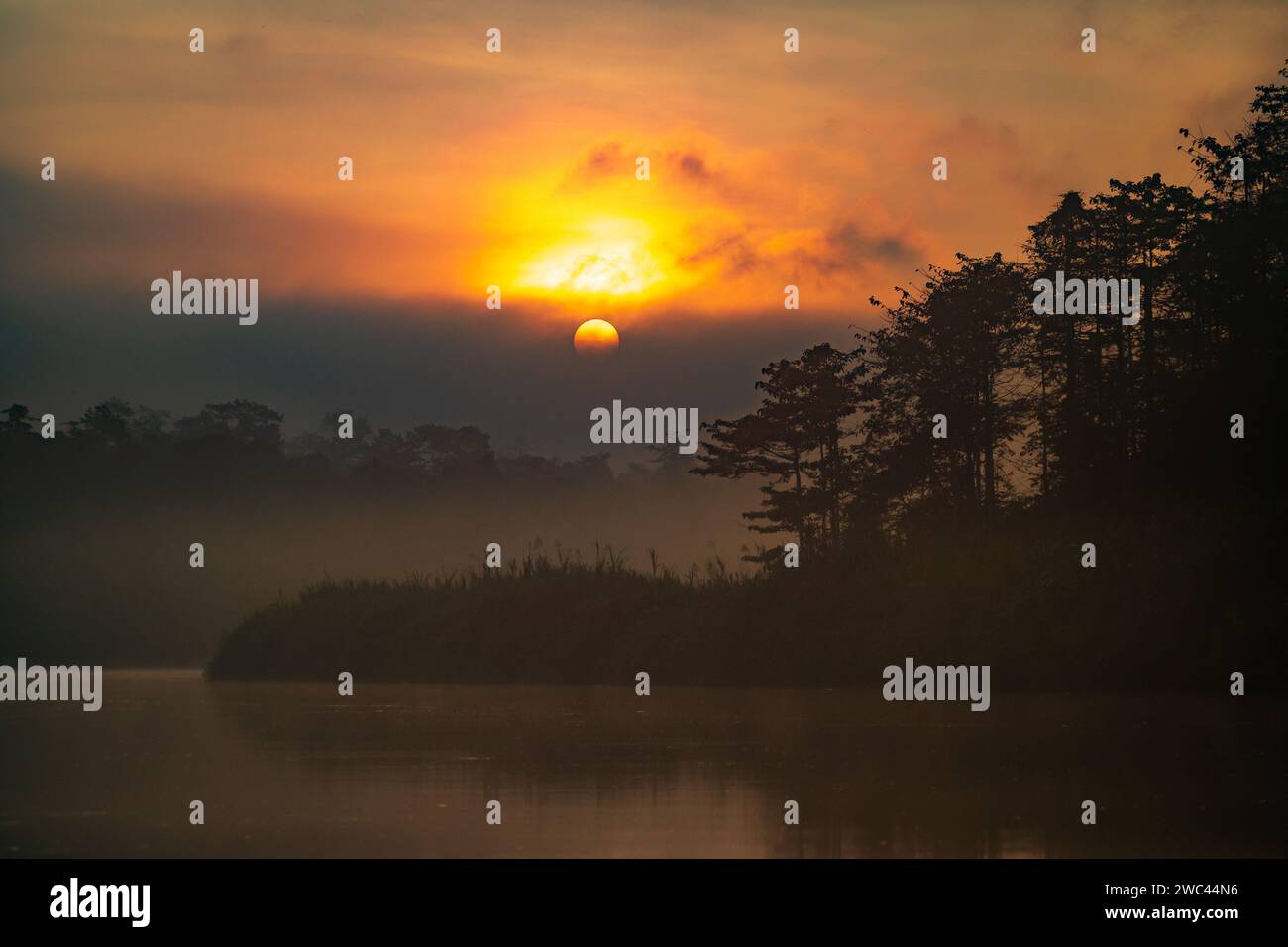 Sunrise above a remote wilderness rainforest and river in the jungles ...