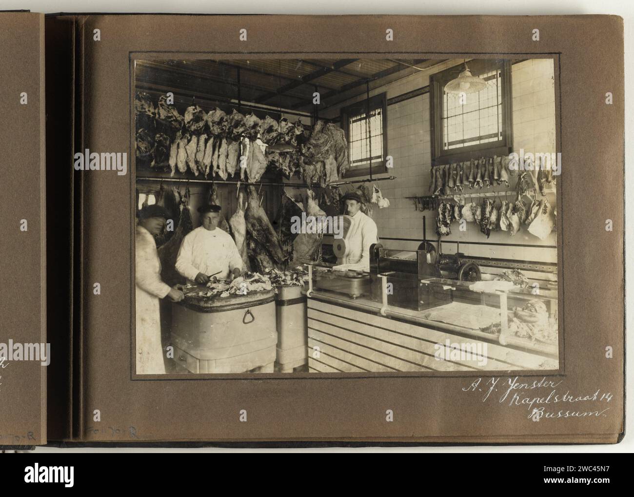 Jenster hi-res stock photography and images - Alamy