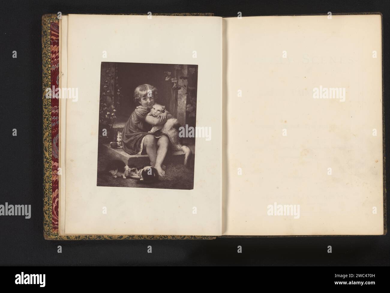 Photo production from an engraving to the painting The Kittens by Franz ...