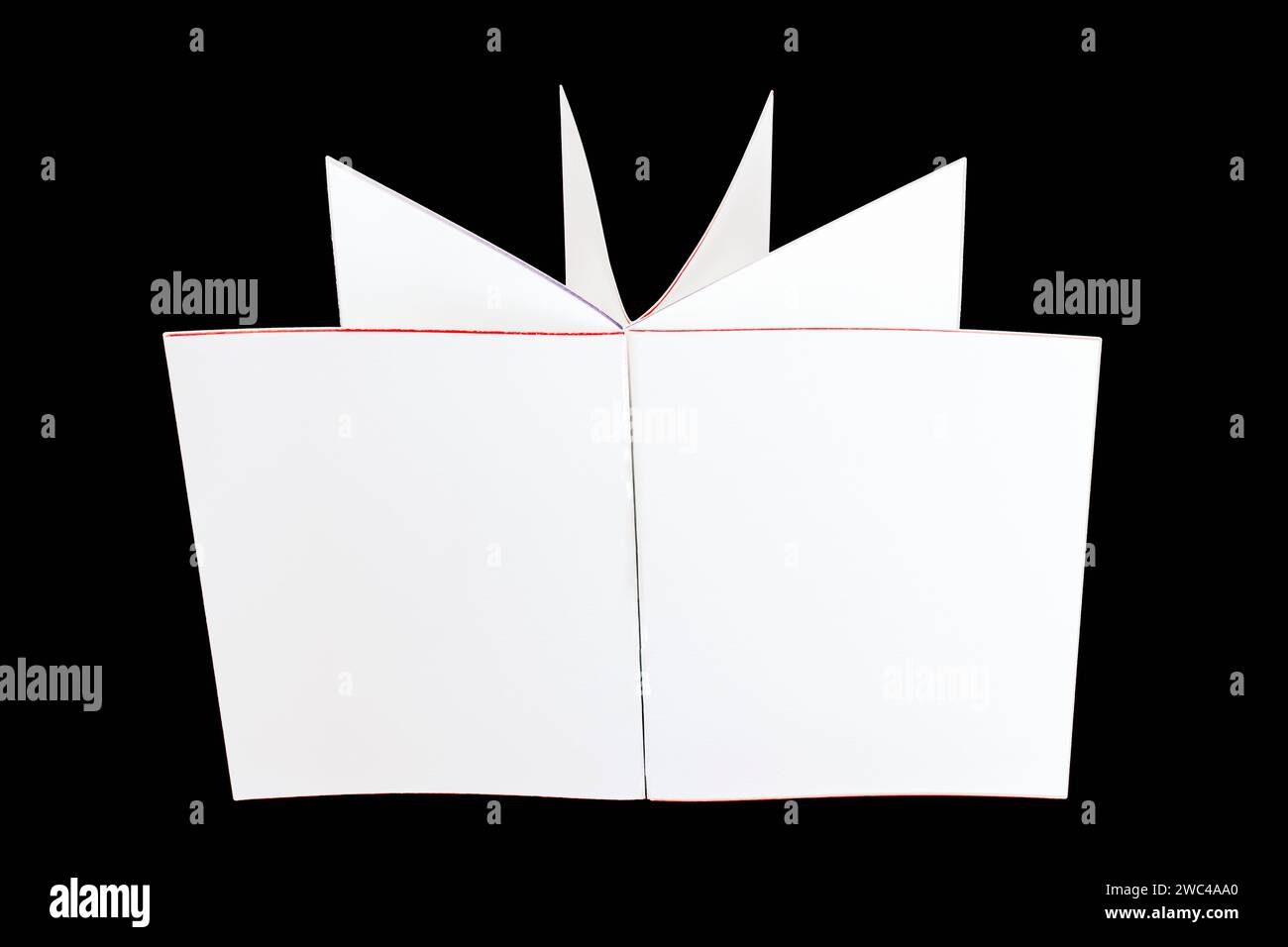 Pages are standing up. The sheets are empty or blank. Edges are ...