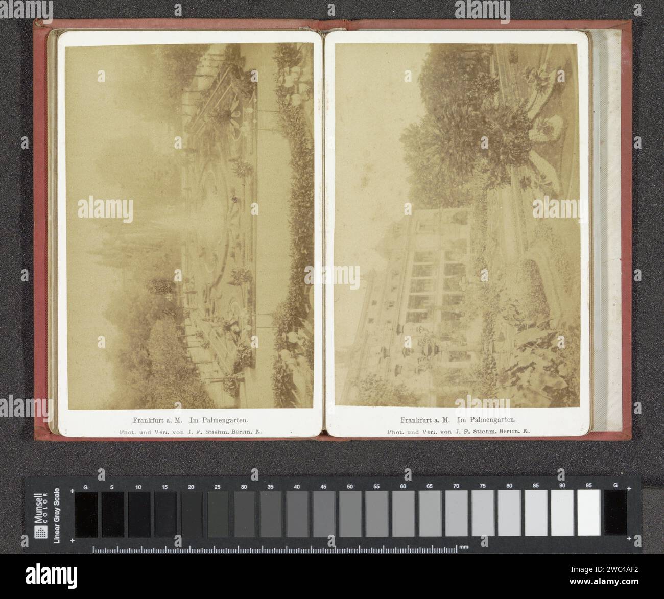 Palmentuin hi-res stock photography and images - Alamy