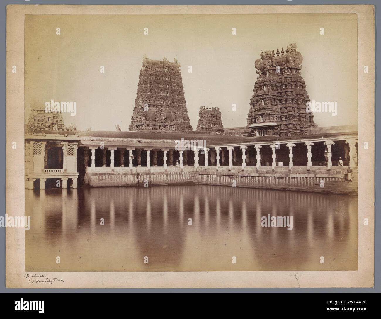 The Golden Lotus Pond at the Meenakshi Temple in Madurai, Tamil Nadu ...