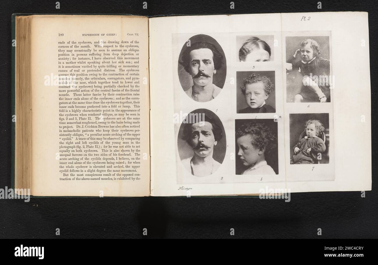 Overview of seven photos to illustrate people with different facial ...