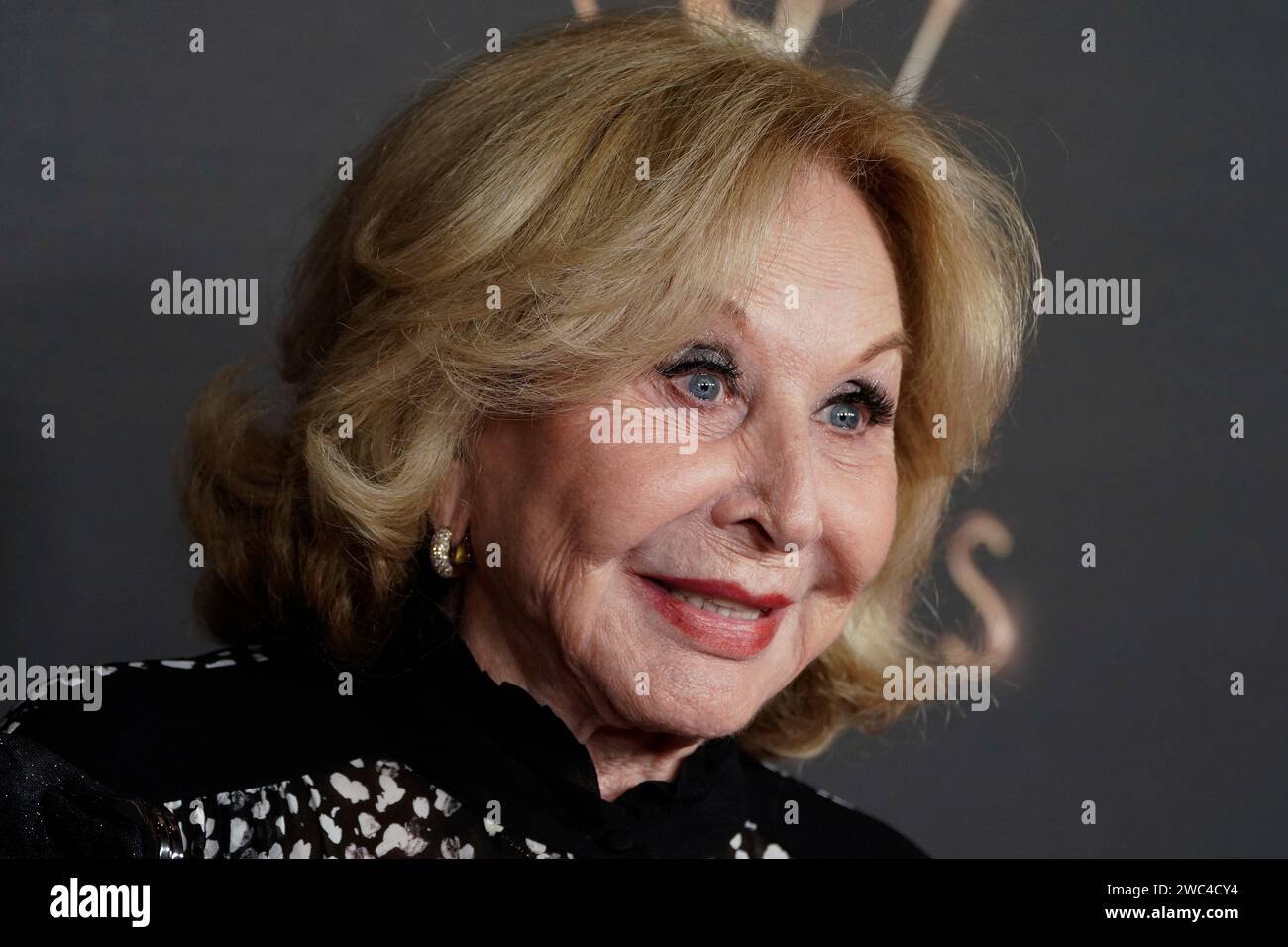 Michael Learned attends the 75th Emmy Awards Performers Nominee ...