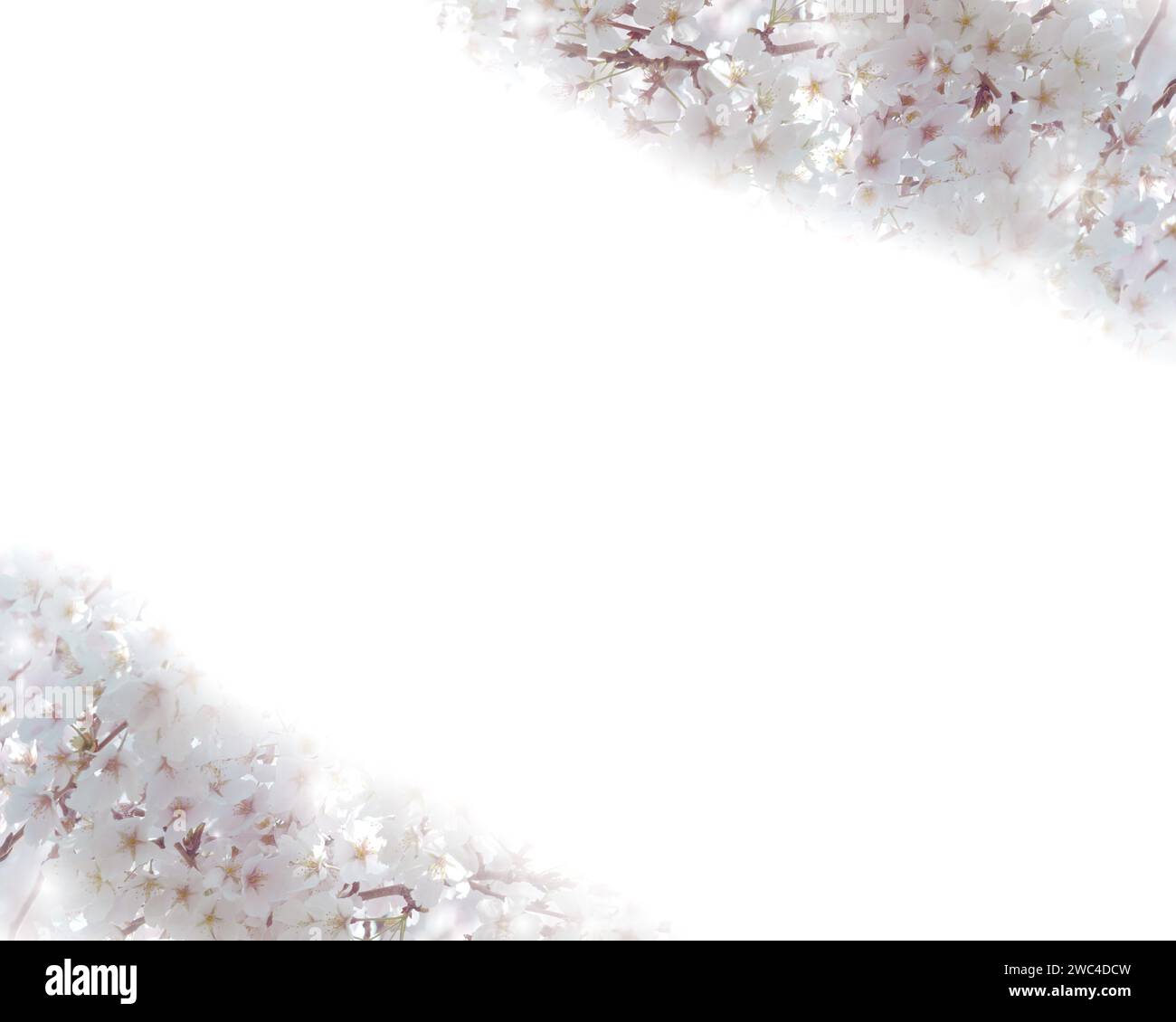 Flower and light; background or texture; spring concept Stock Photo - Alamy