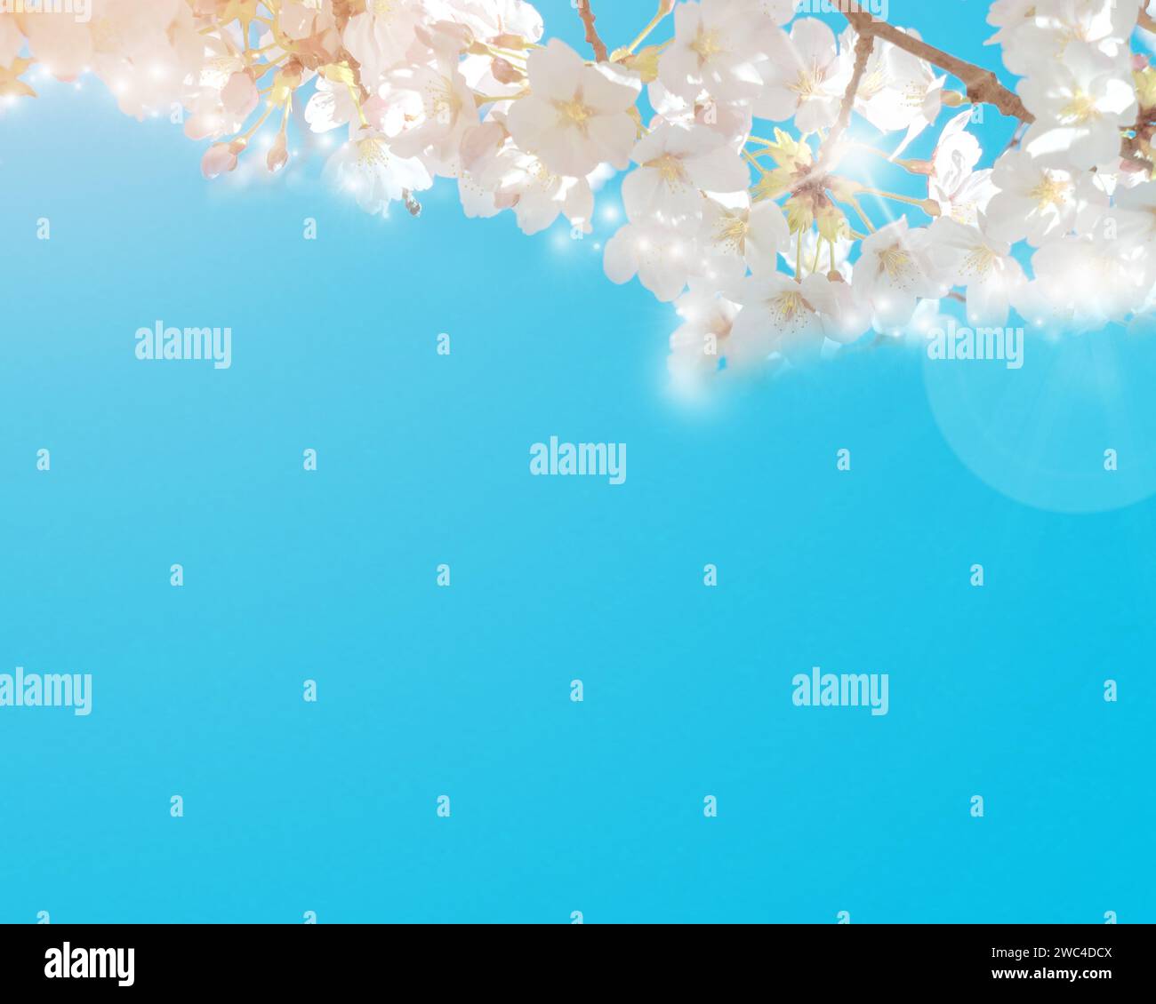 Flower and light; background or texture; spring concept Stock Photo - Alamy