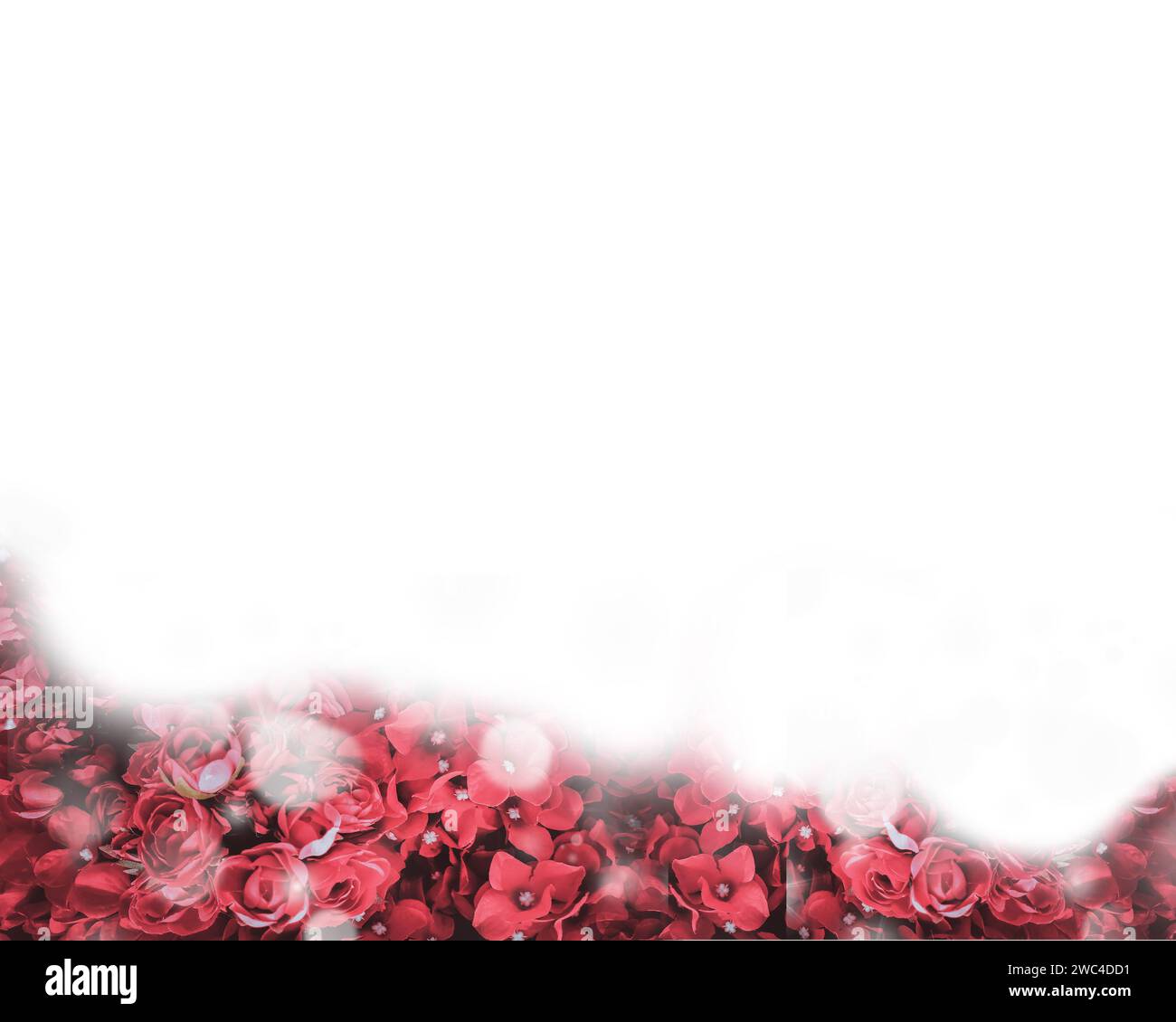 Flower and light; background or texture; spring concept Stock Photo - Alamy