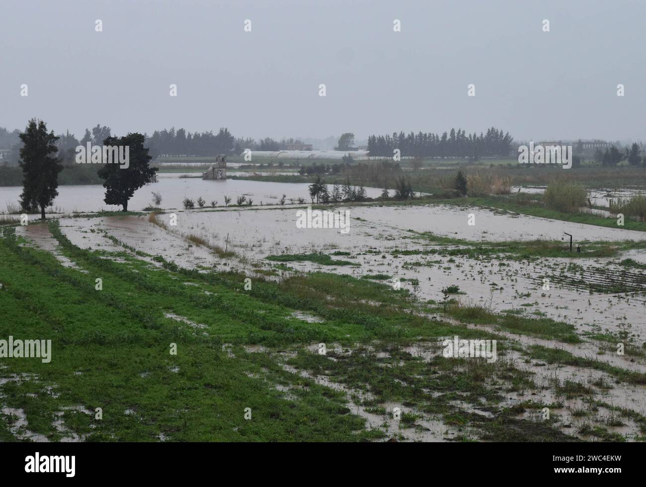 Tartus. 13th Jan, 2024. This photo taken on Jan. 13, 2024 shows the ...