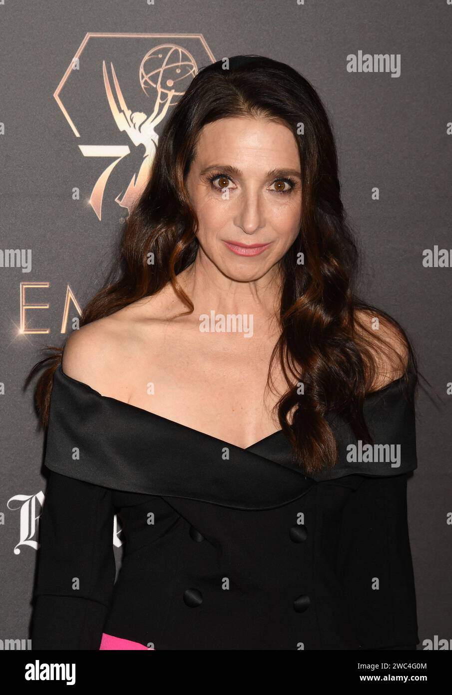 Los Angeles, Ca. 13th Jan, 2024. Marin Hinkle at the 2024 Performer ...