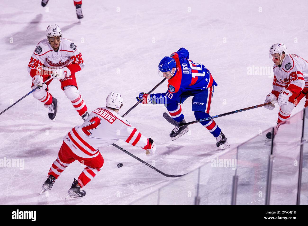 Charlotte, NC, USA. 13th Jan, 2024. Rochester Americans Brandon Biro ...