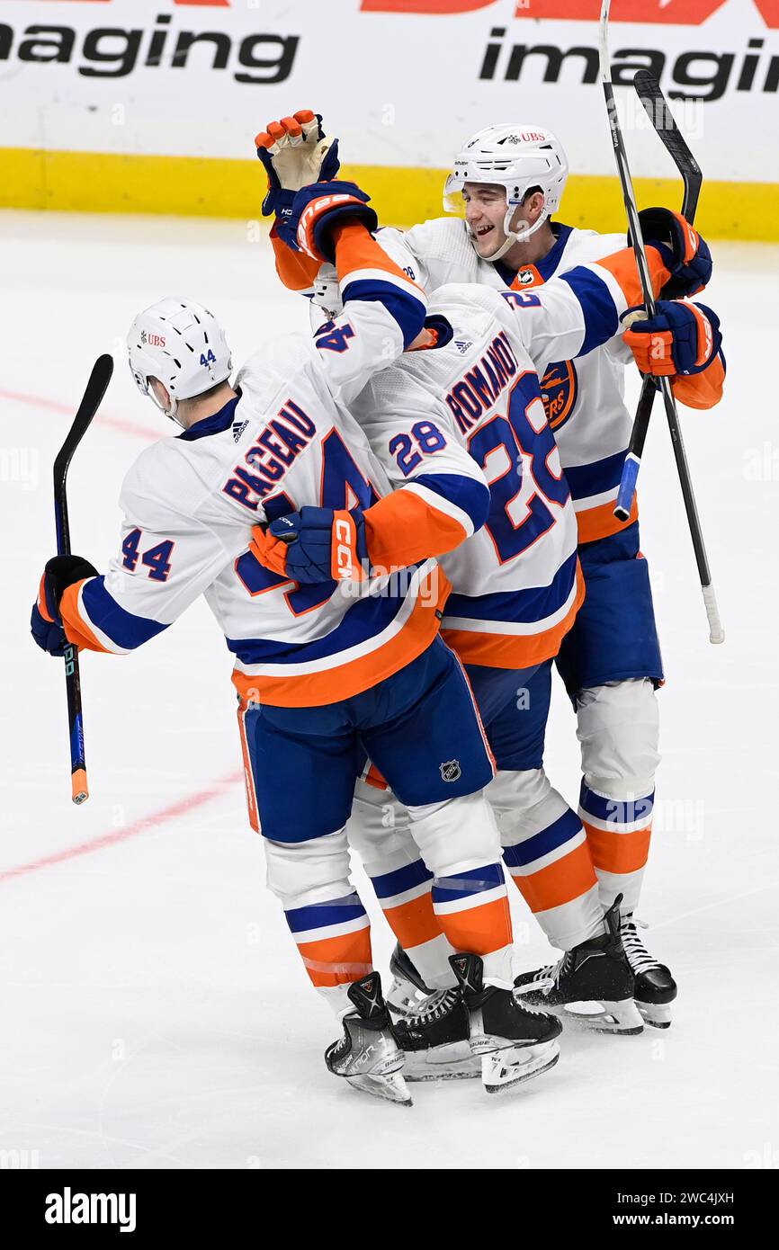 New York Islanders center Jean-Gabriel Pageau (44) celebrates with ...
