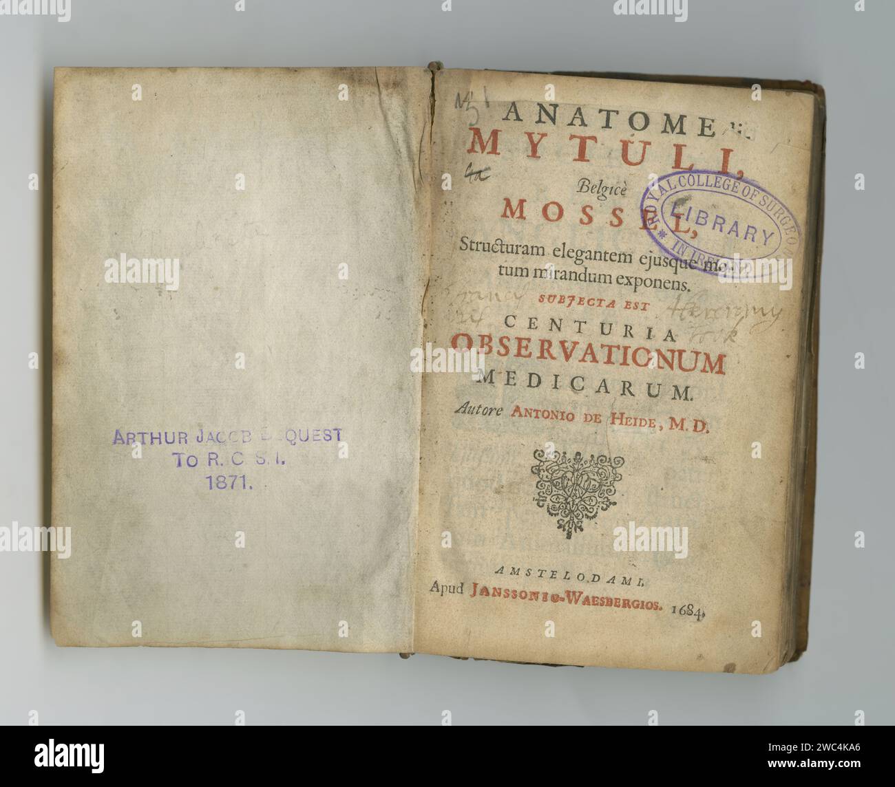 Antique medical page, wisdom and library stamp for authorized knowledge ...