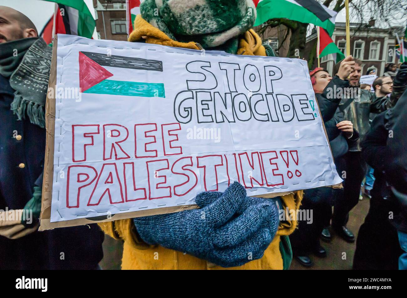 A protester holds a placard saying "Stop Genocide, Free Palestine ...