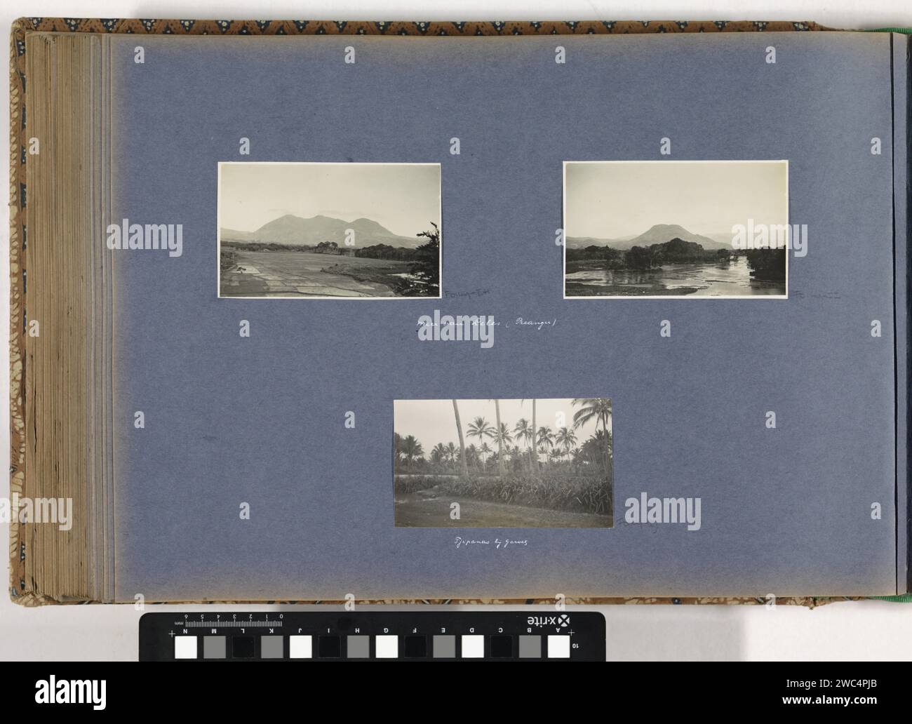 Fields and palms at Tjipanas on Java, Anonymous, c. 1900 - c. 1920 ...