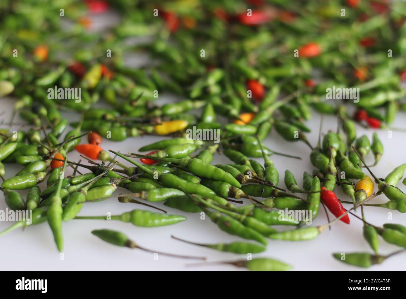 Piri piri chillies hi-res stock photography and images - Alamy