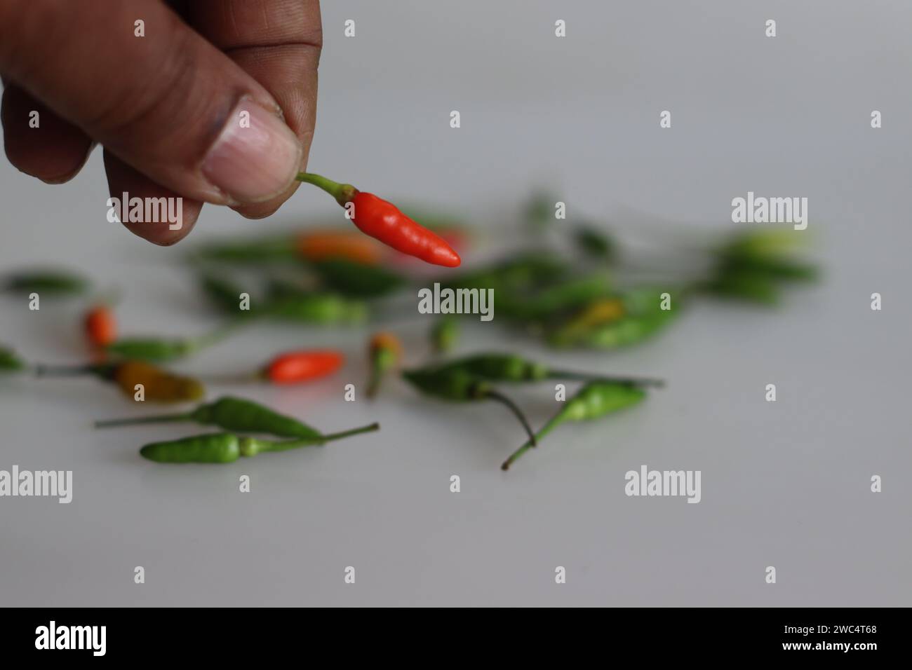 Jeerige menasu hi-res stock photography and images - Alamy