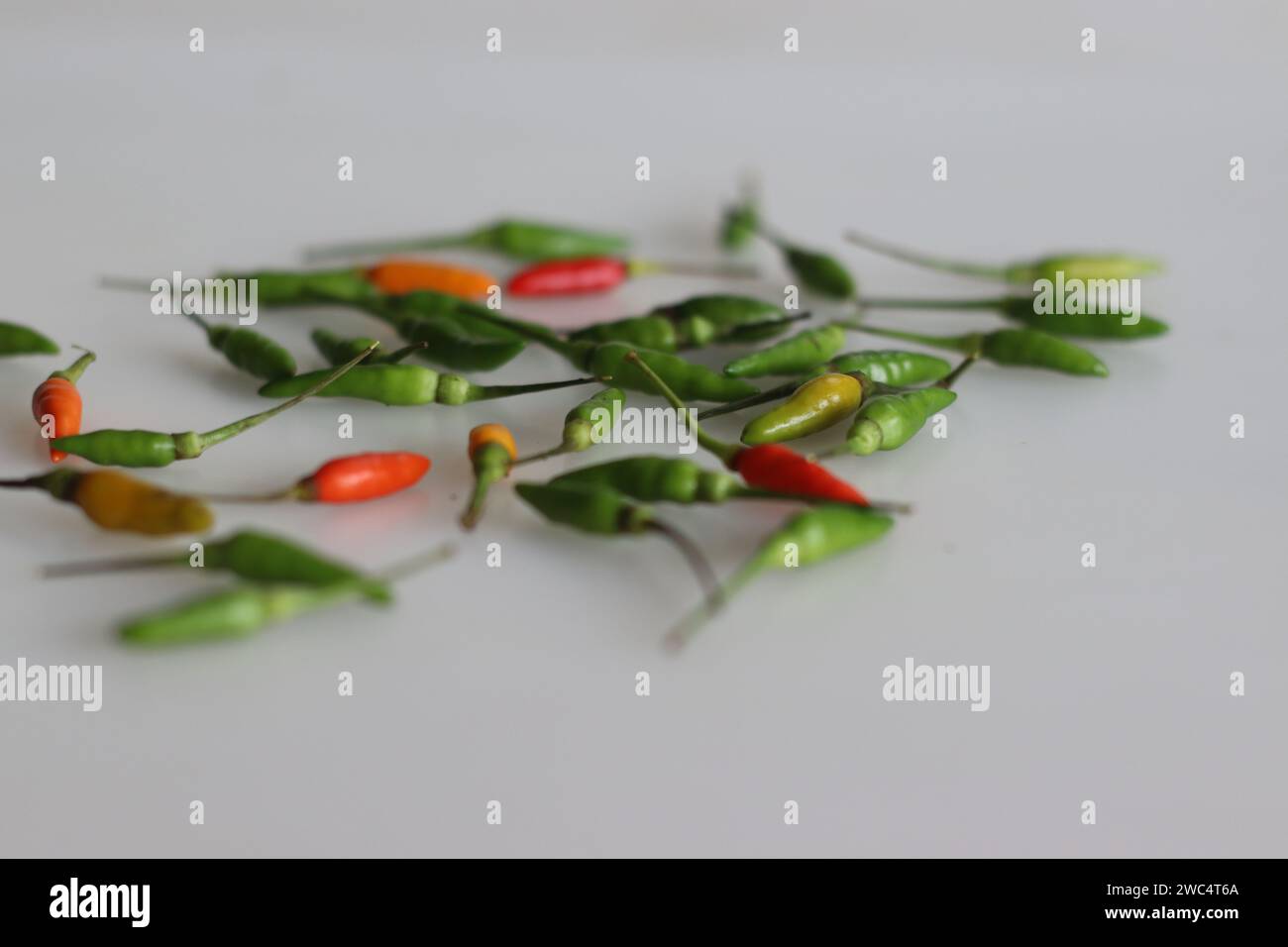 Fresh kanthari peppers or Birds eye chilli. A fiery and flavorful South ...