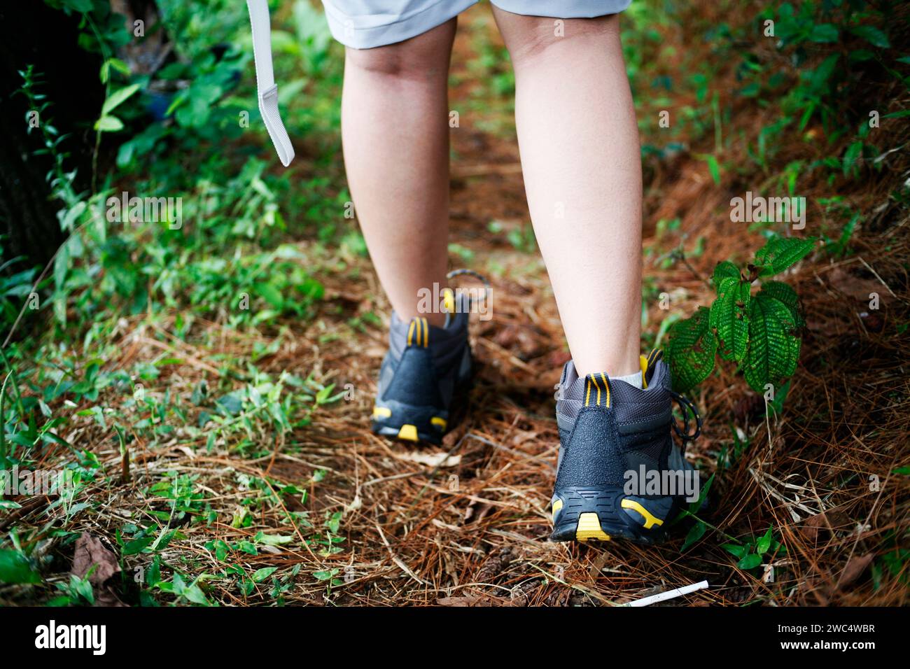 Rear view women foot in pathway Stock Photo - Alamy