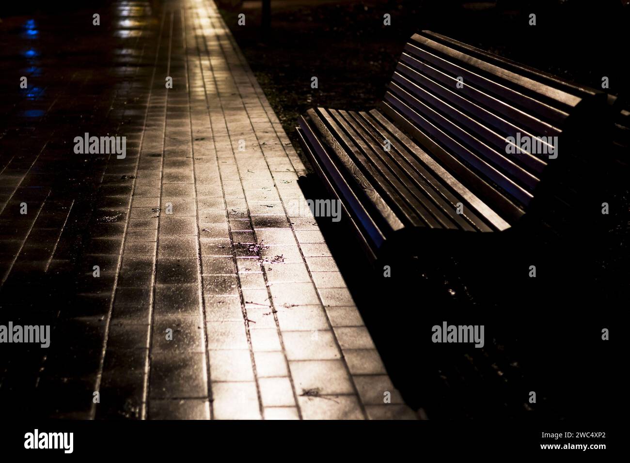 a bench and a wet road in a night park without lanterns. Benches in the ...