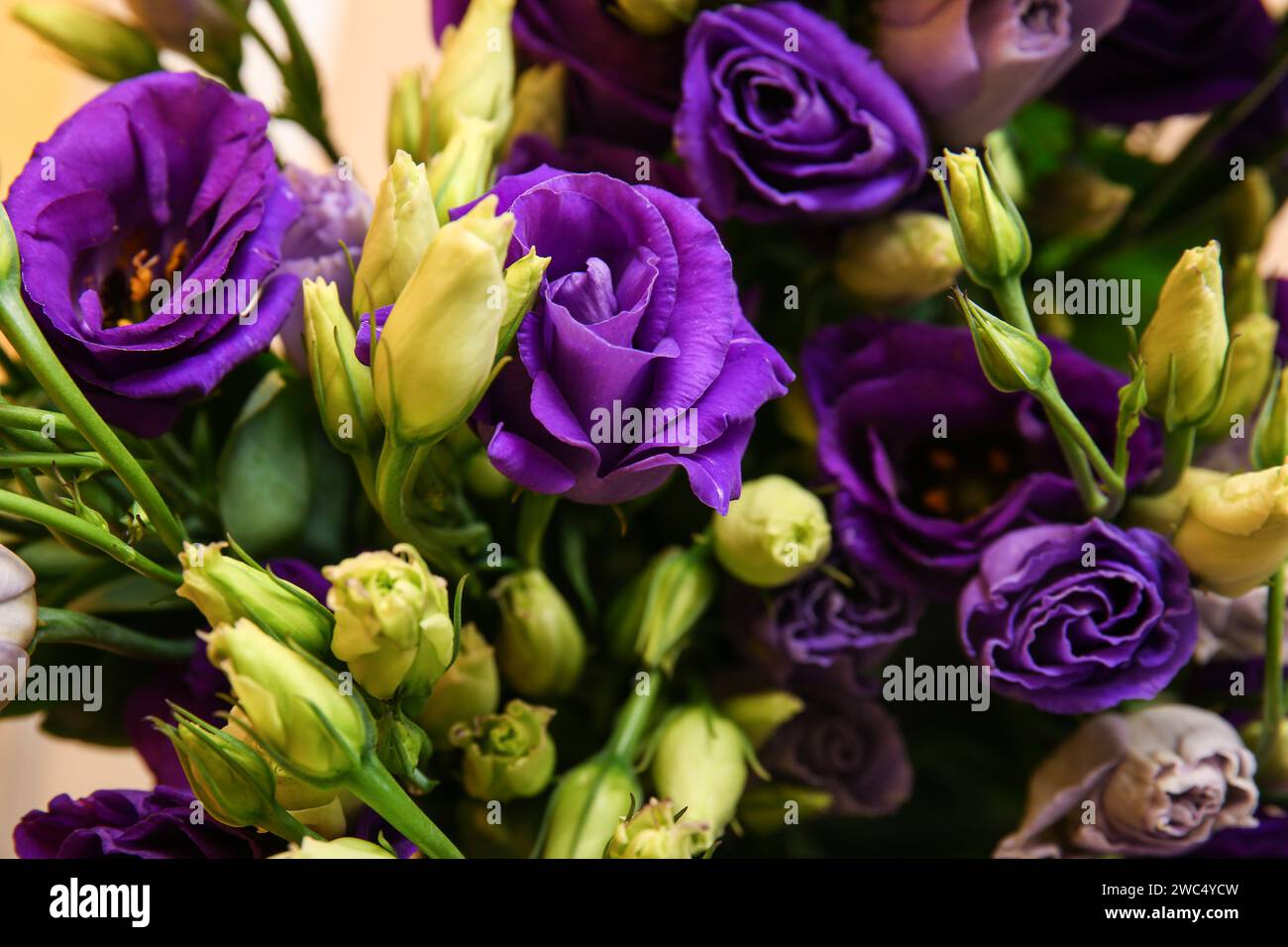Eustoma flowers as background, closeup Stock Photo - Alamy