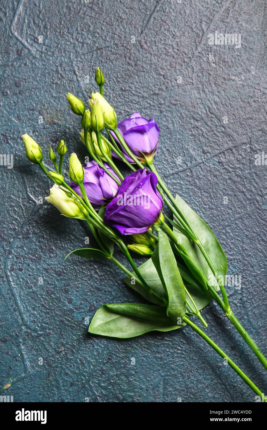 Branches of beautiful eustoma flowers on dark color background, closeup ...