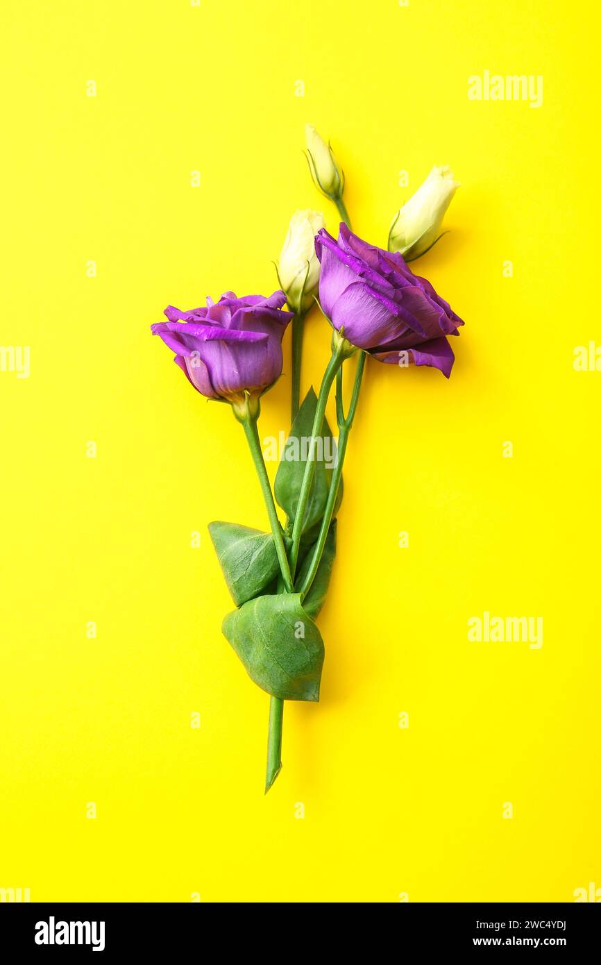 Branch of beautiful eustoma flowers on yellow background Stock Photo ...