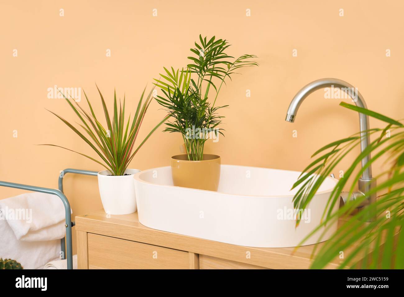 Sink with green plants in bathroom Stock Photo - Alamy